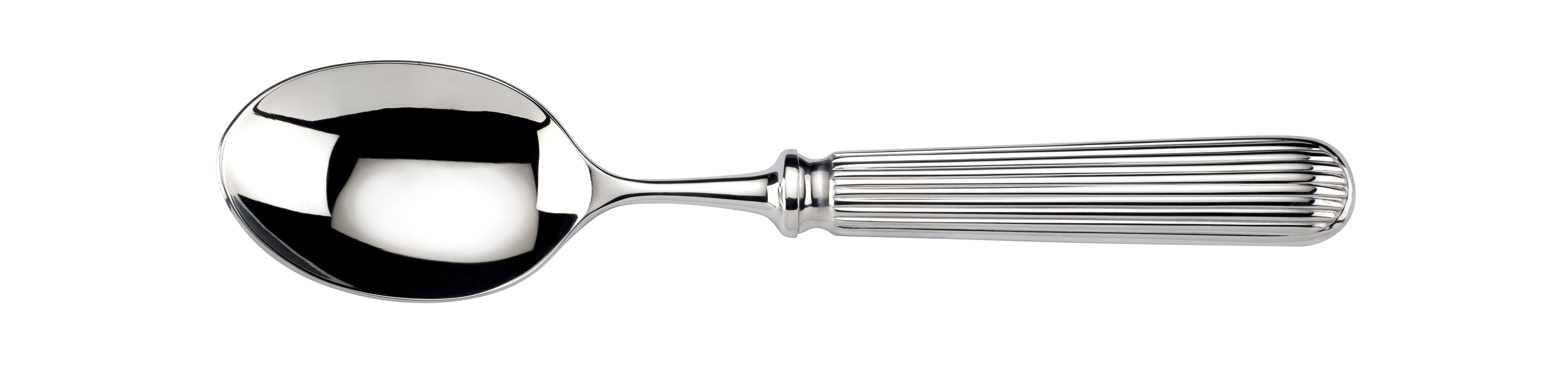 Titanic Luxury Stainless Steel Serving Spoon – Arthur Price